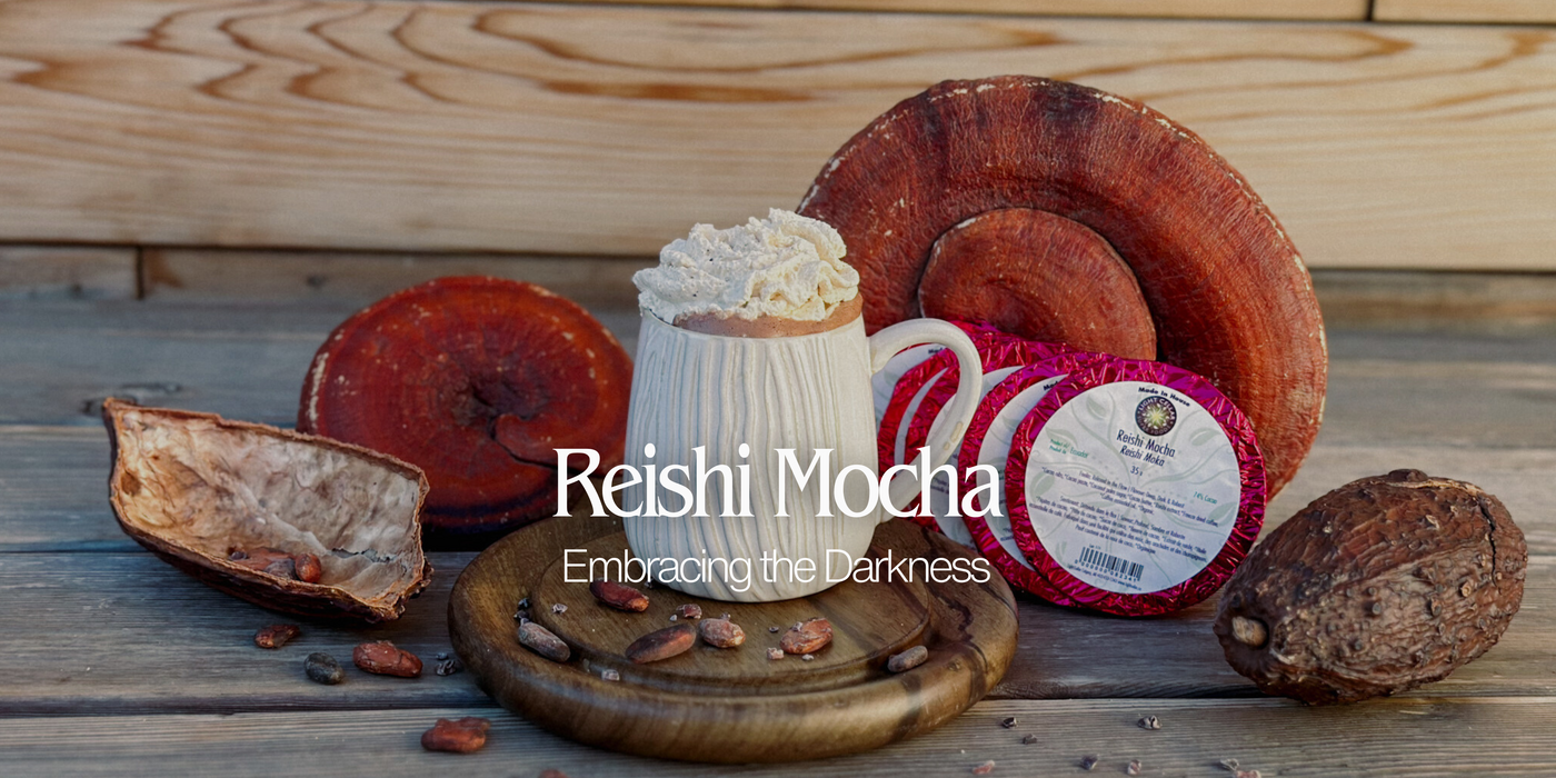 Light Cellar Superfood, Elixir, Ferment, and Craft Chocolate shop