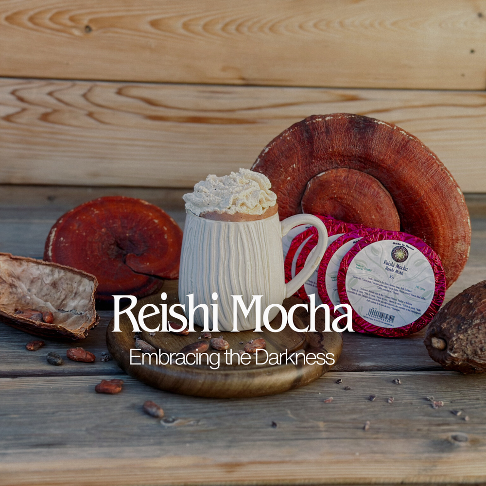 Light Cellar Superfood, Elixir, Ferment, and Craft Chocolate shop