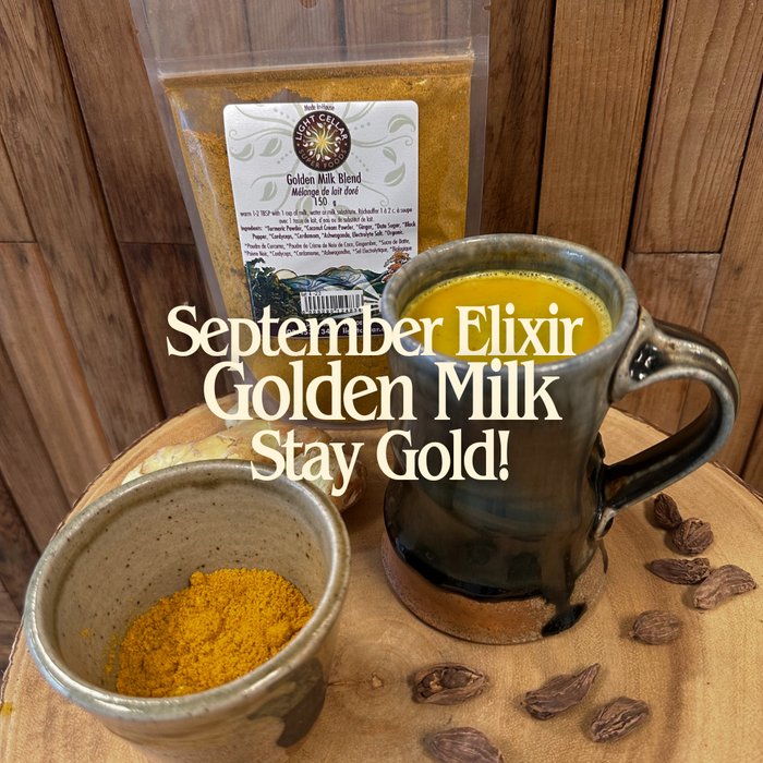 Light Cellar Superfood, Elixir, Ferment, and Craft Chocolate shop