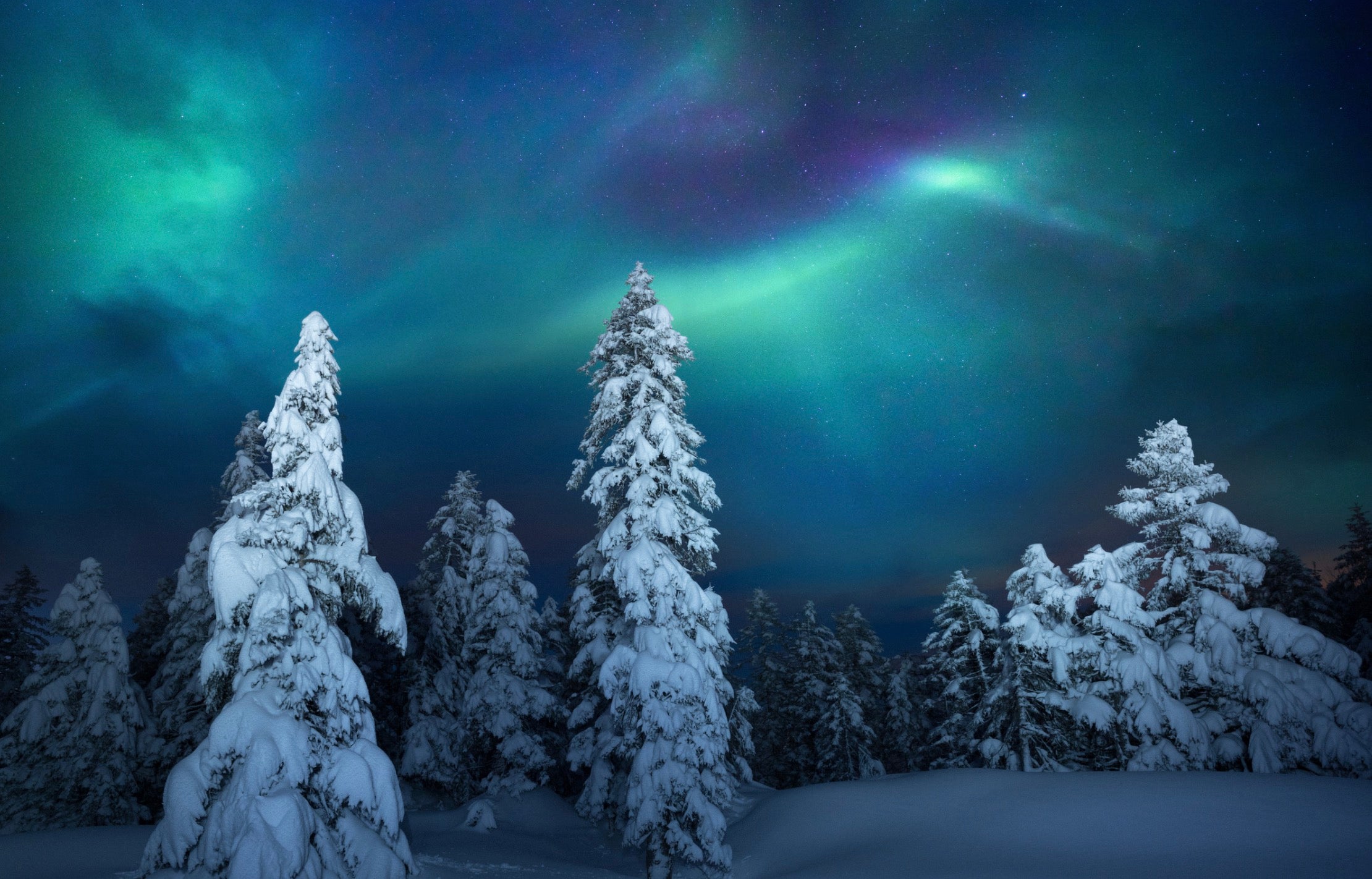 Light Cellar Superfood, Elixir, Ferment, and Craft Chocolate shop