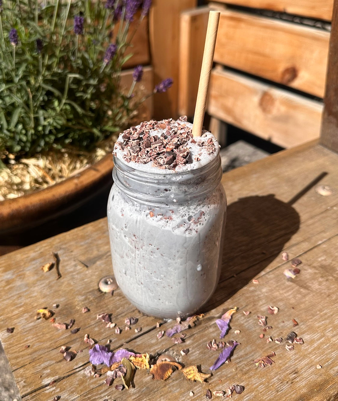 Light Cellar Superfood, Elixir, Ferment, and Craft Chocolate shop