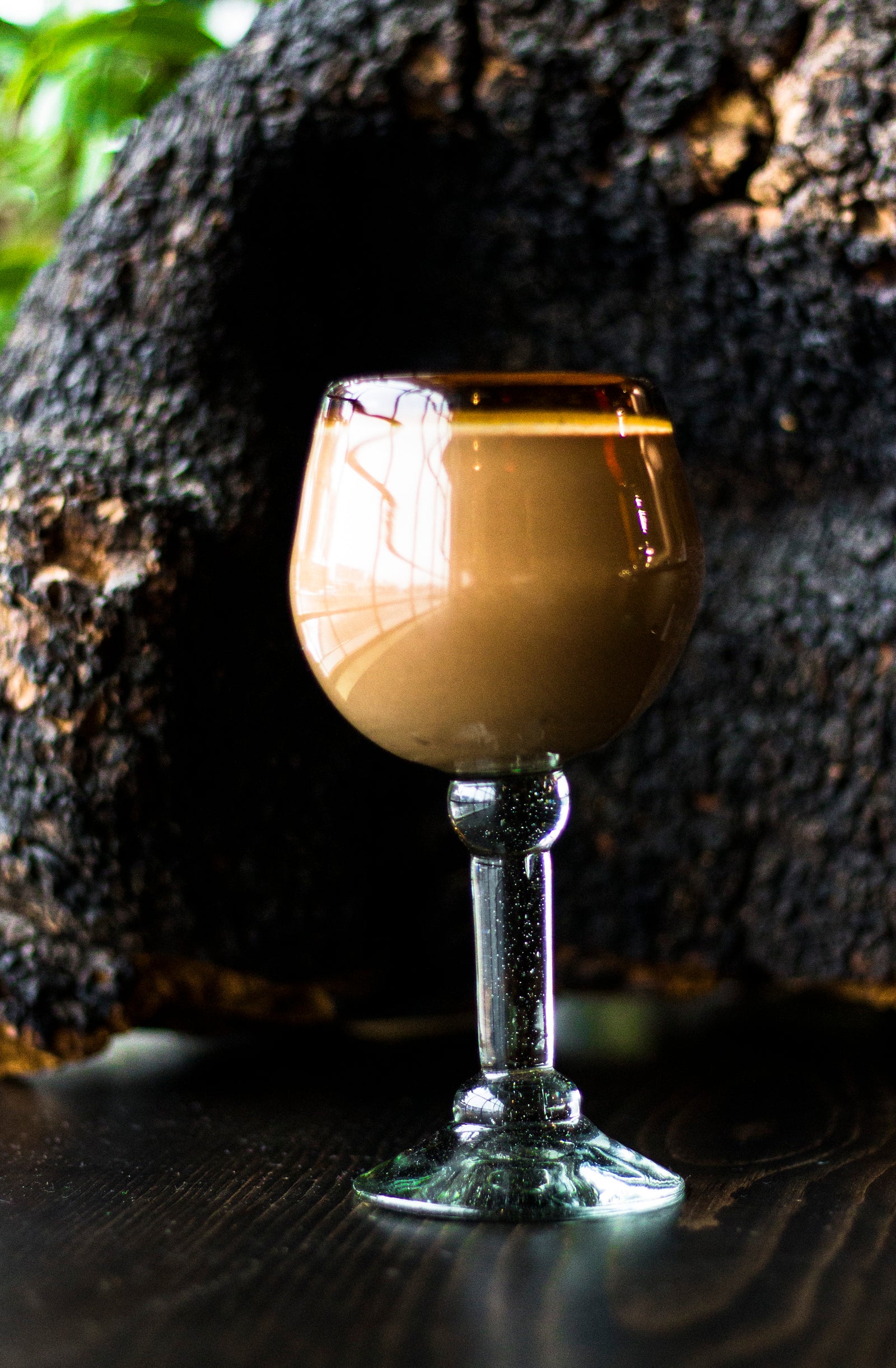 Elixir Life: Learn How to Craft Your Own Nourishing Herbal Beverages E